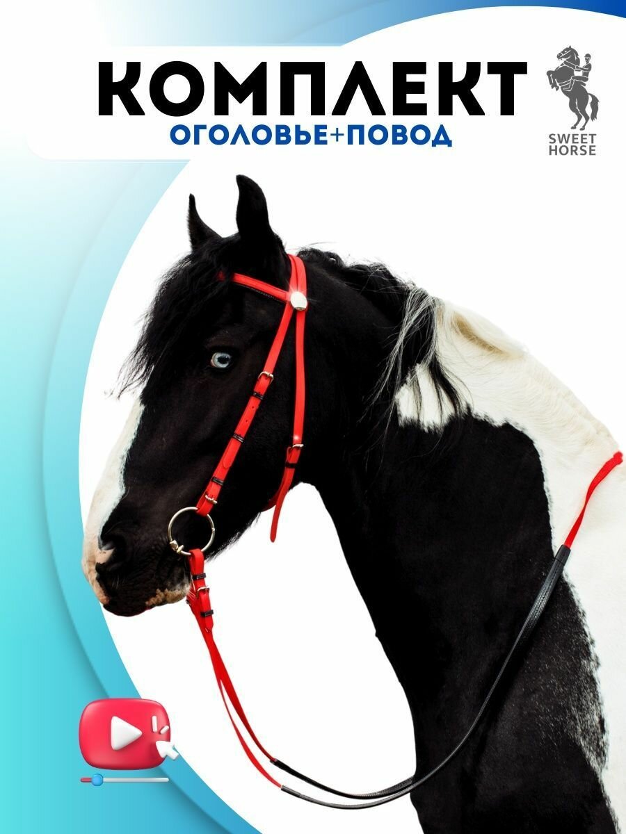 Sweethorse / Комплект оголовье + повод для лошади/Cob, красный