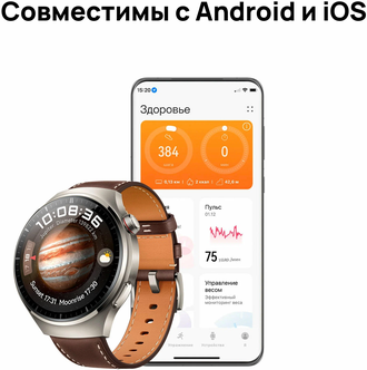 Характеристики модели Умные часы Huawei Watch 4 PRO titan/brown (MDS ...
