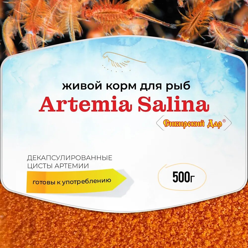 Декапсулированные яйца артемии (цисты) - корм для рыб "Сибирский дар" Artemia Salina, 500 г