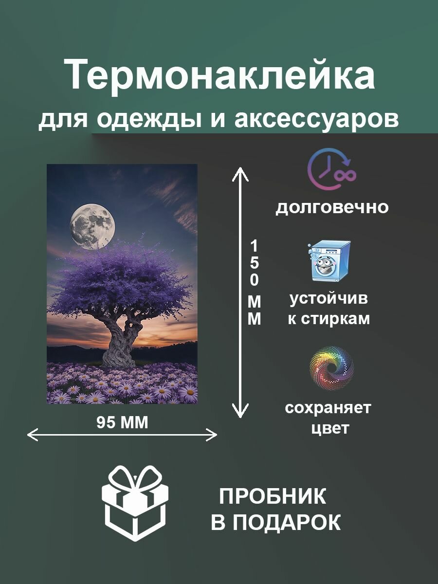 Термонаклейка
