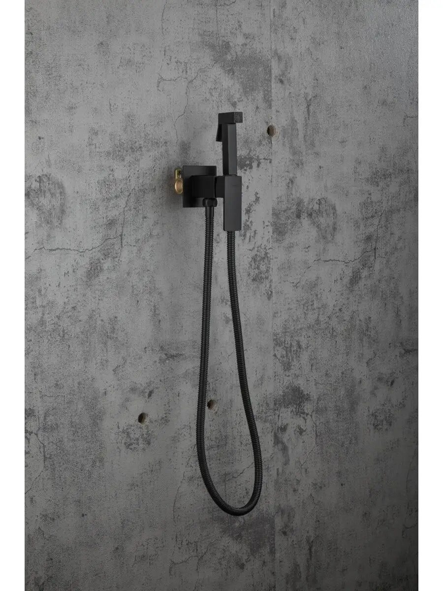 Смеситель гигиенический с лейкой Frap F7506-6, встраиваемый, черный, матовый, латунь