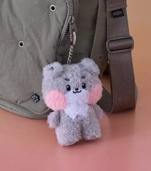 Плюшевый брелок Kpop ZB1 12 см Серый, PARK GUN WOOK