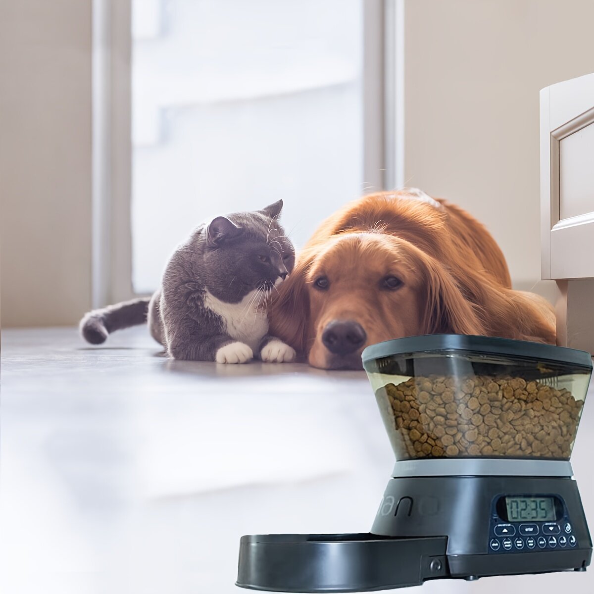 Автоматическая кормушка для питомцев, надёжный автоматический дозатор корма для кошек и собак с дисплеем для простой настройки и контроля порций, автоматическая кормушка для собак, сохраняющая сухой корм свежим