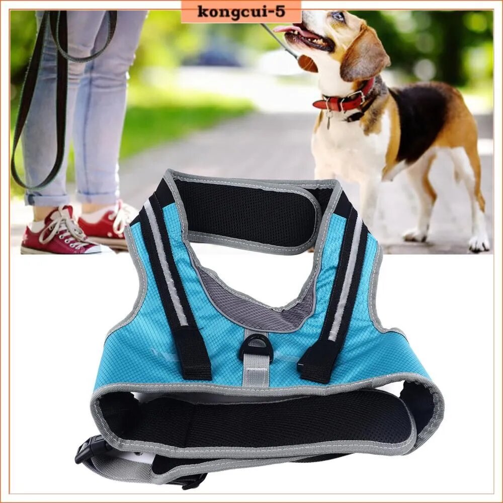 Шлейка для собак