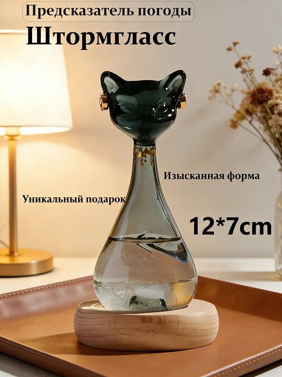 Предсказатель погоды Штормгласс Декор Снежный шар