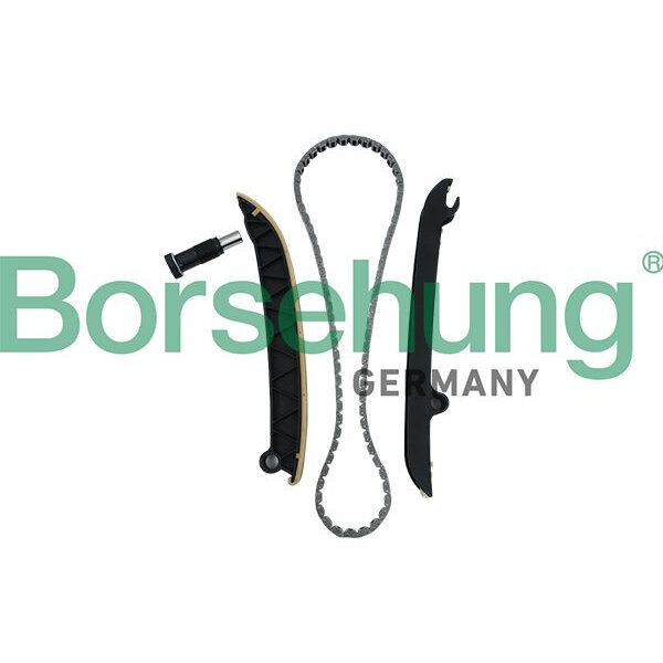 Цепь ГРМ комплект для автомобиля, BORSEHUNG B18296 (1 шт.)