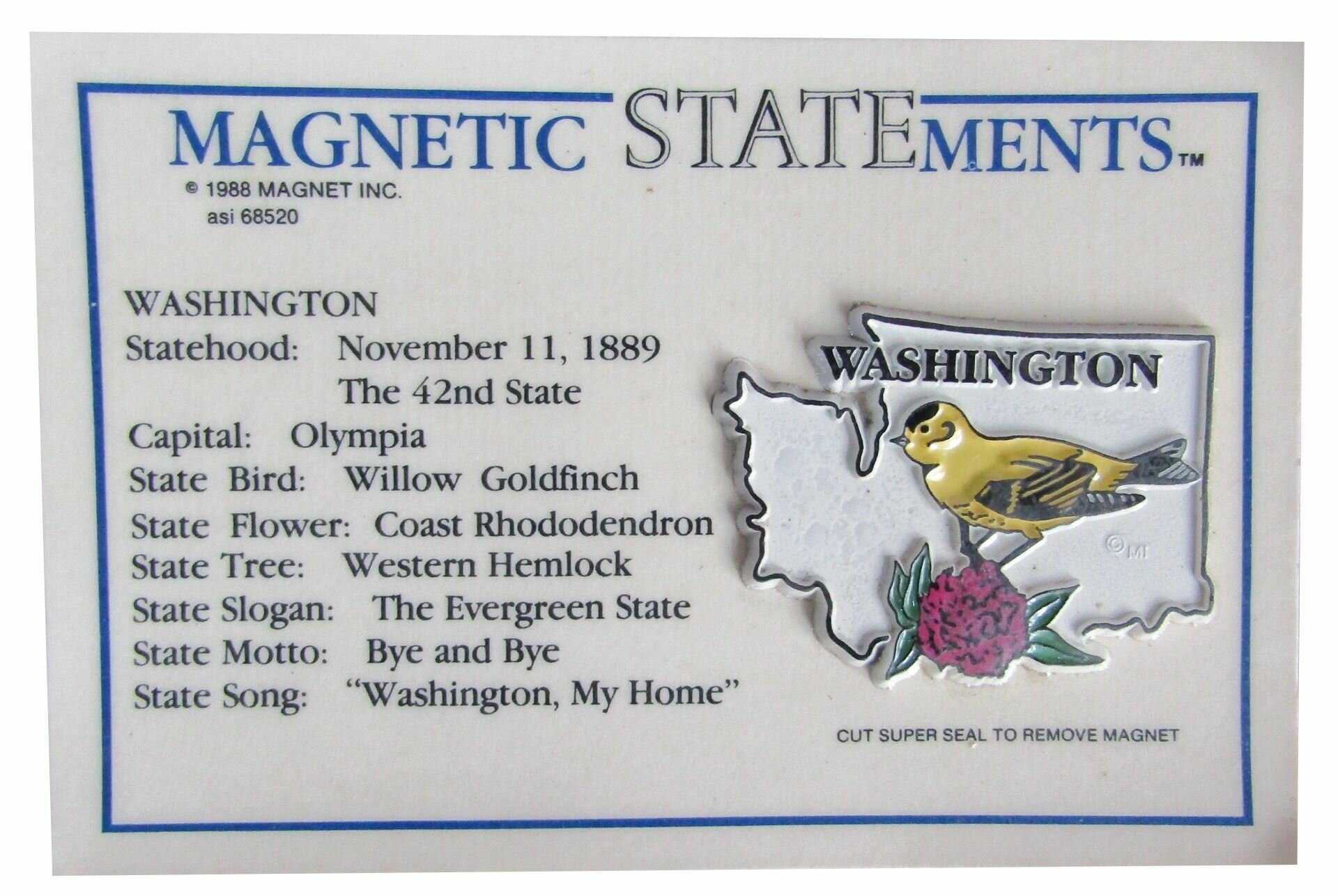 Magnetic Statements. Washington Магнит на холодильник