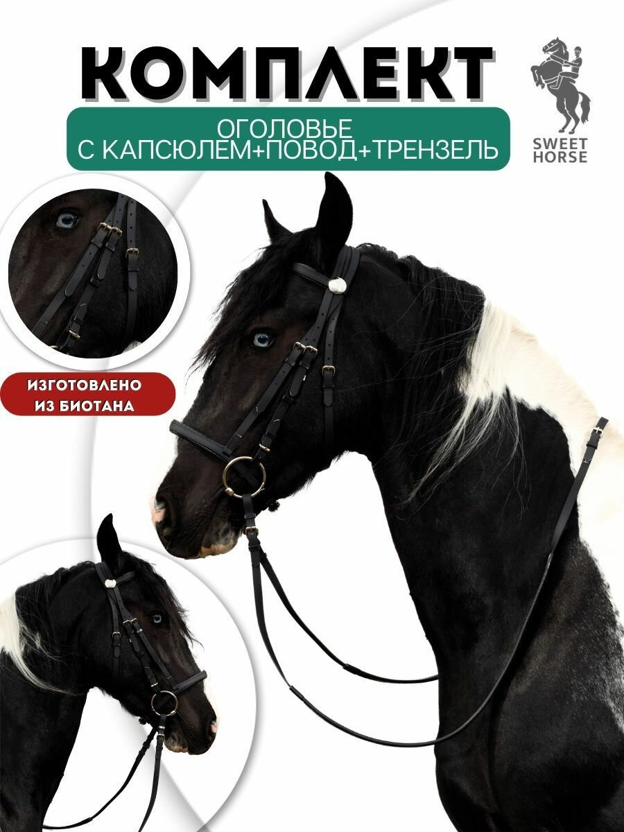 Sweethorse / Оголовье с капсюлем + повод + трензель , черный