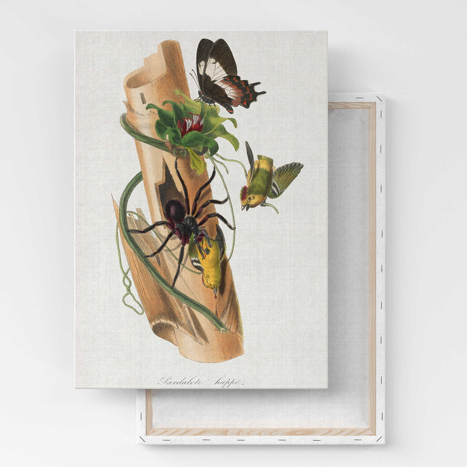Картина на холсте, репродукция / Le Jardin des Plante / Размер 60 x 80 см