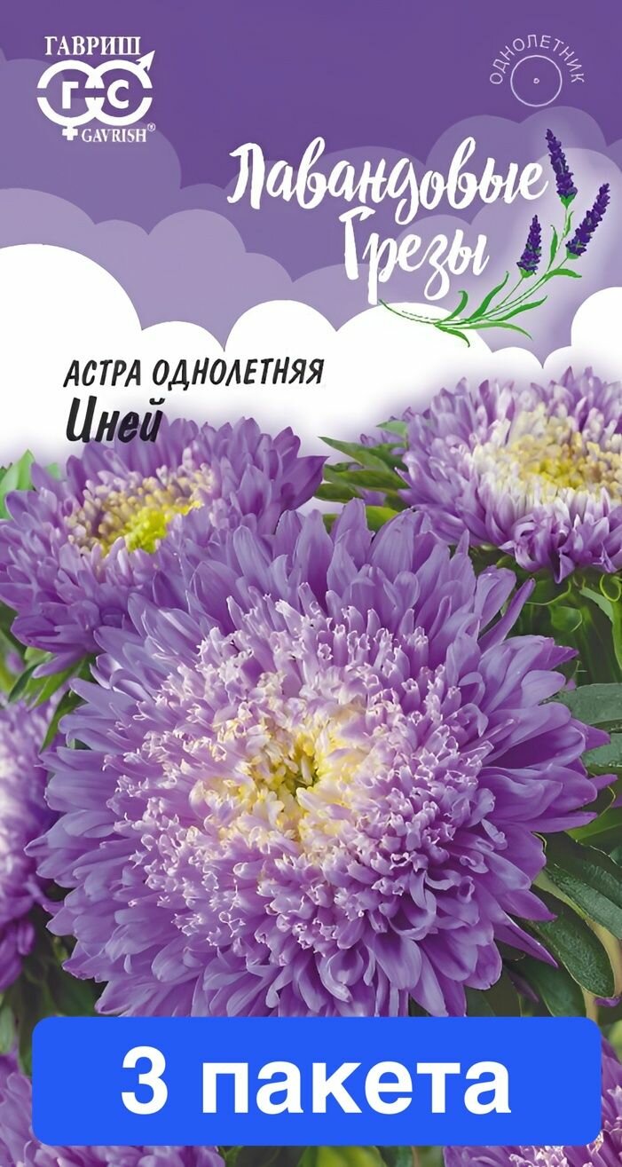 Семена цветов Гавриш "Астра Иней букет голубой", 0.3 гр, 3 пакета