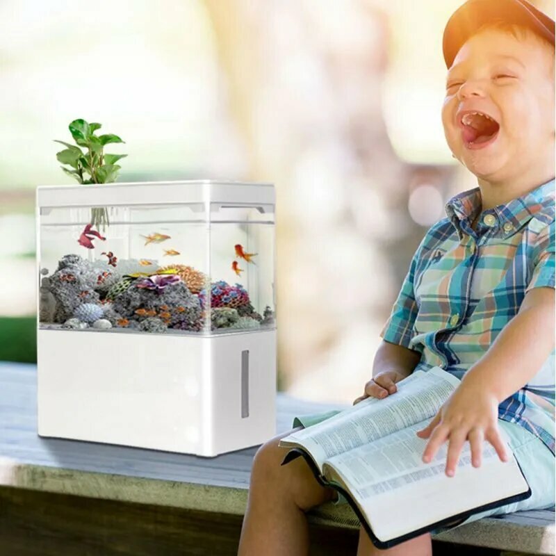 Аквариум Для Петушка