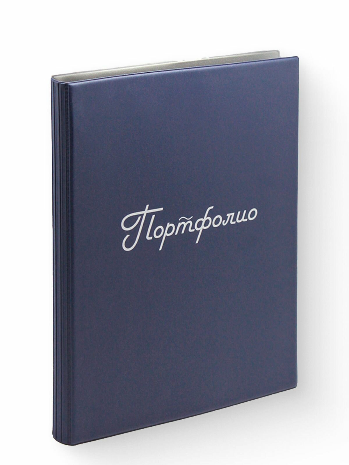 Папка портфолио А4, синяя, для школьников, для дошкольников ПВХ, А4, dpskanc