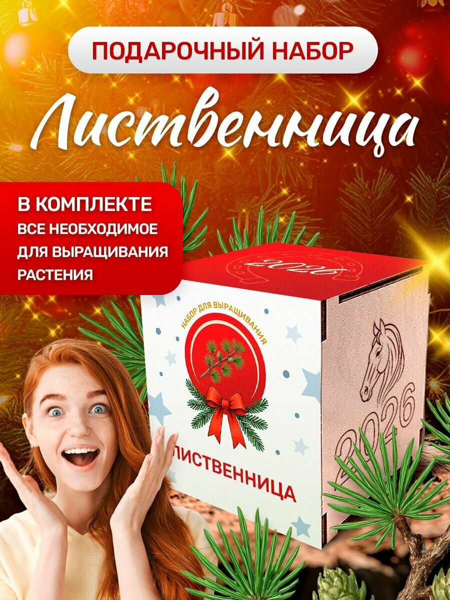 Лиственница Новогодний набор для выращивания растений