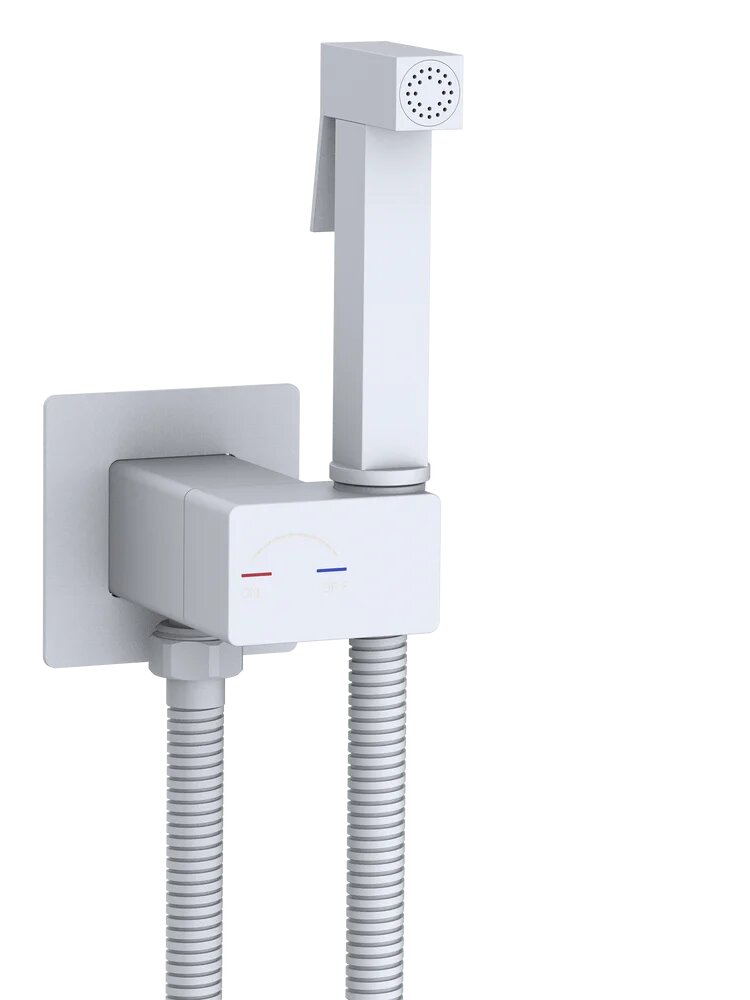 Гигиенический душ Weltwasser Higi Q01 WT встраиваемый, скрытого монтажа, со смесителем, белый, матовый, латунь, рычажный, с защитой от обратного потока, смеситель для биде