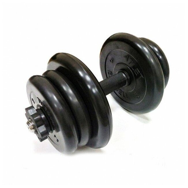 Гантели разборные 1 по 21.5 кг (D 31 mm)