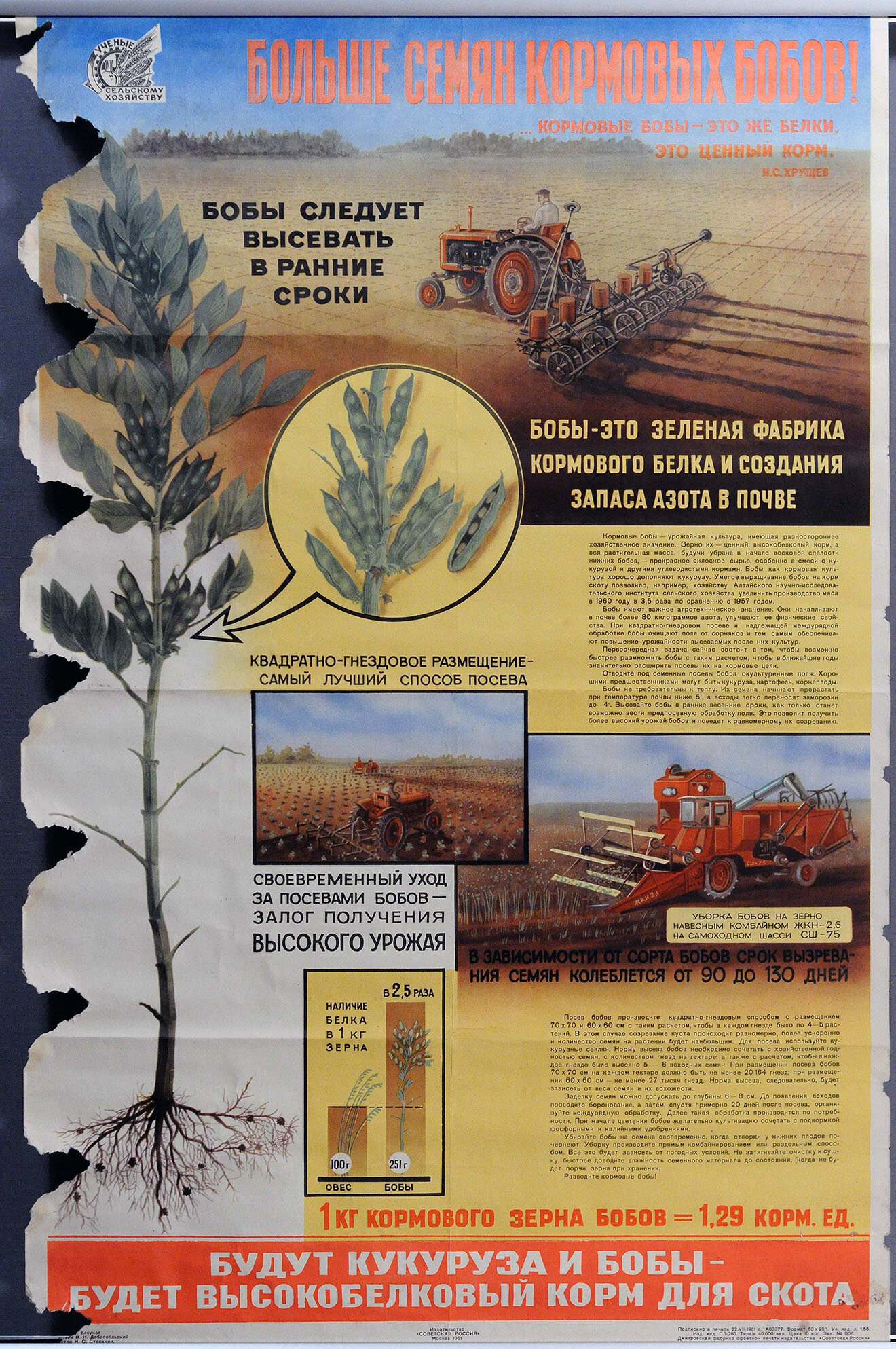 Советский плакат овощеводство растениеводство; Антиквариат 1961 г; Декор настенный винтажный 56/89 см.