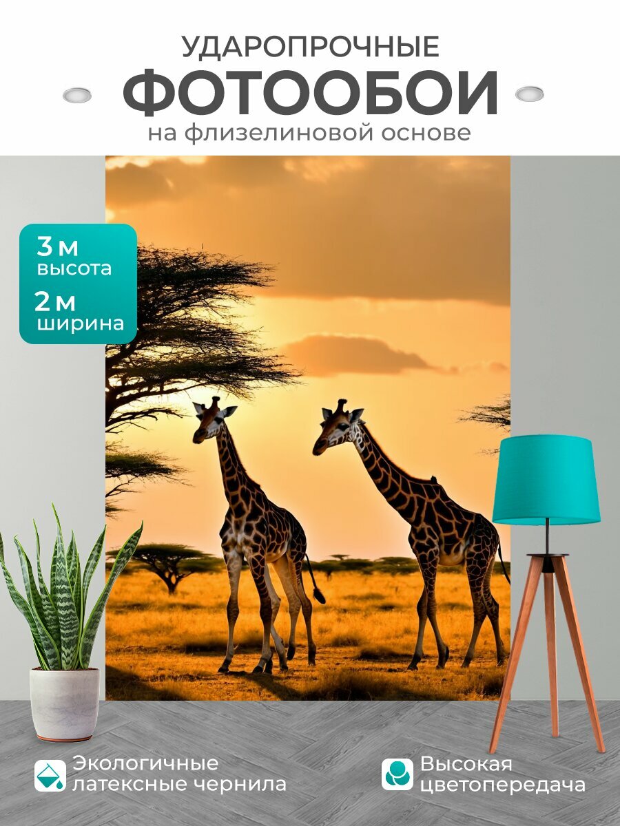 Фотообои моющиеся ударопрочные "С жирафами, гуляющими по африканскому саванне на закате, с яркими красками неба и солнечными лучами, пробивающимися" 200x300 см. флизелиновые на стену