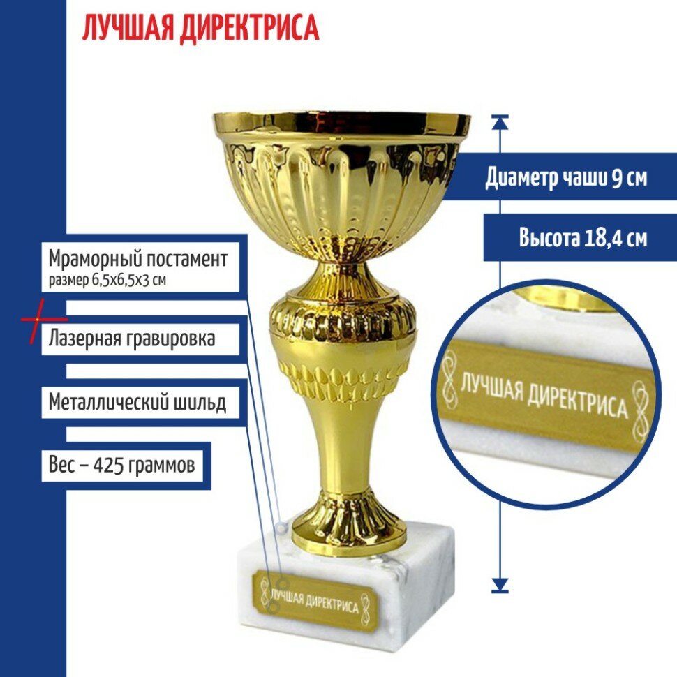 Кубок "Лучшая директриса" (18,4 см)