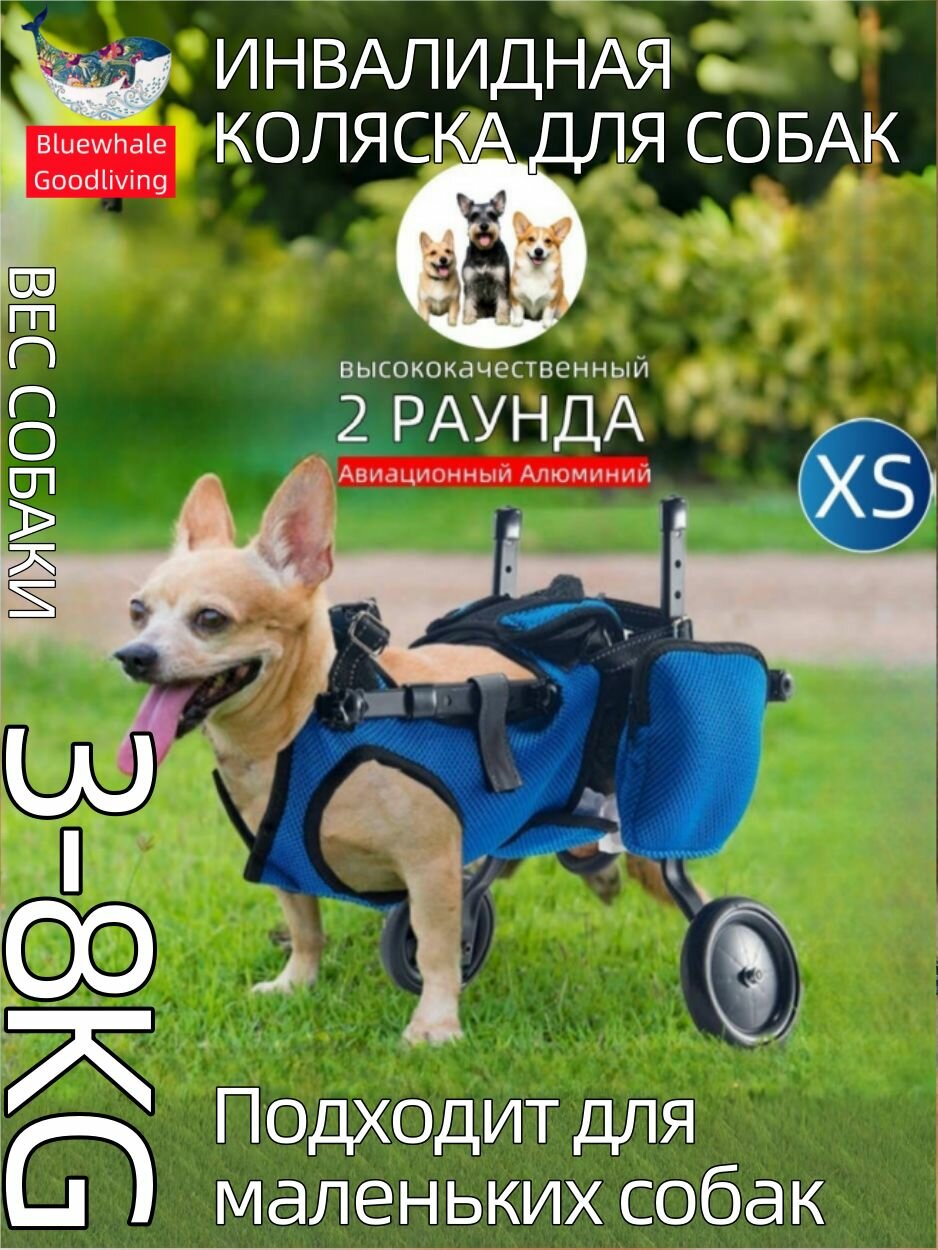 Инвалидная коляска для домашних животных.2 колеса/сумка для хранения/синяя. Подходит для маленьких домашних животных весом 3-8 кг. Подходит для собак и кошек с проблемами ног и параличом. XS