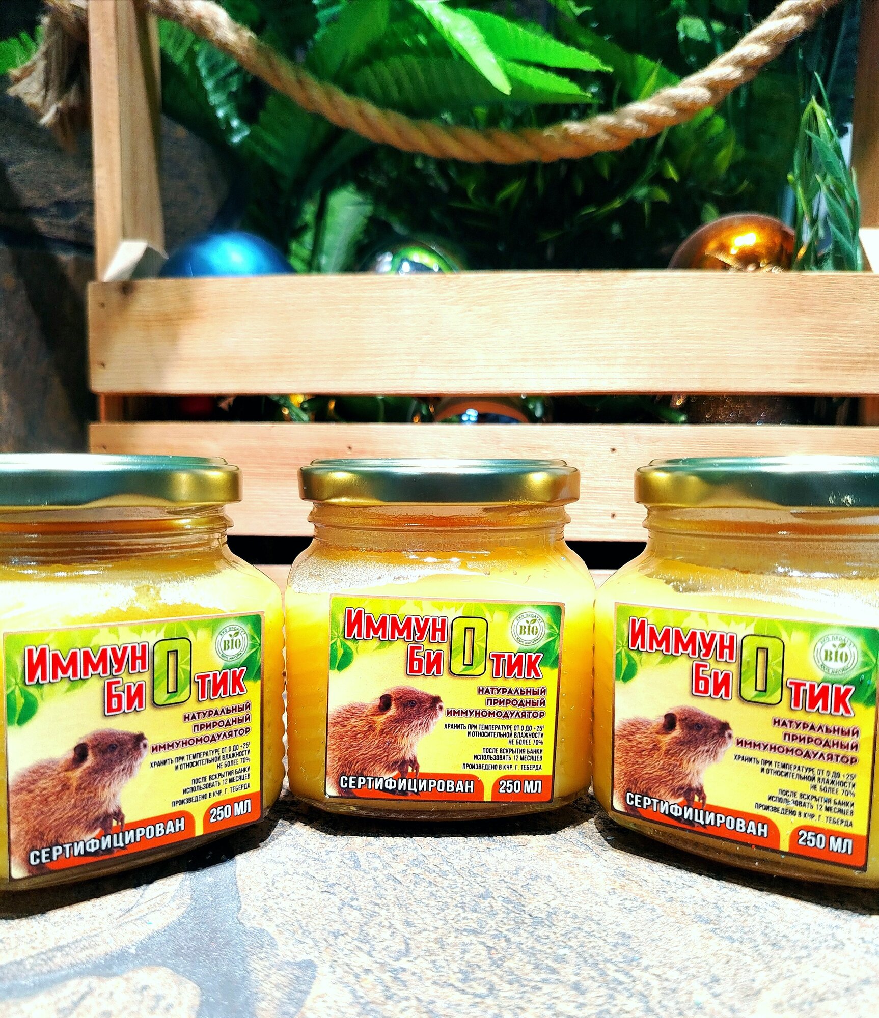 ИммуноБиотик - от всех бронхолегочных заболеваний, Гайморит, Гемоглобин, ЖКТ, Сосуды