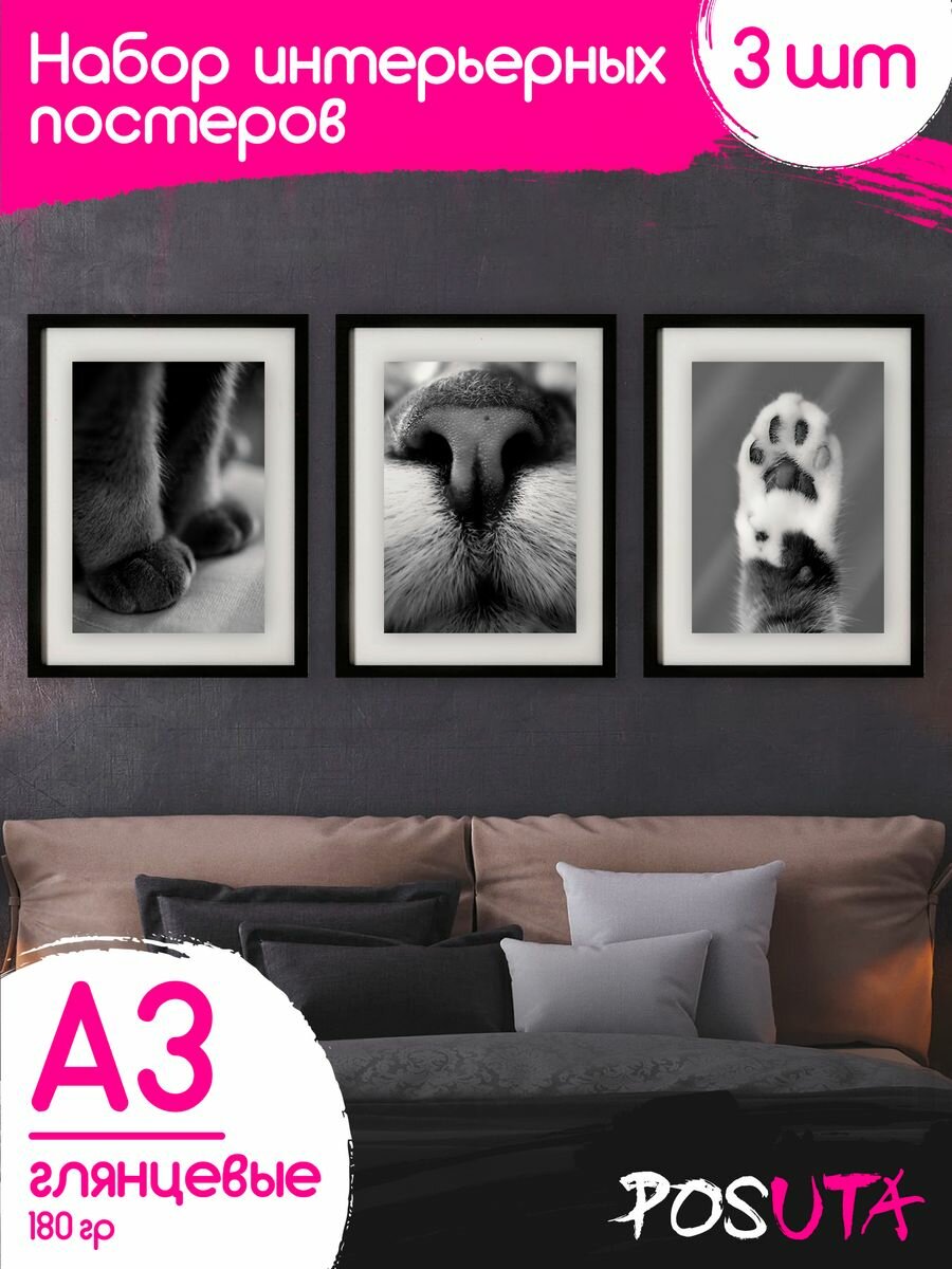 Постеры интерьерные Котики черно-белые