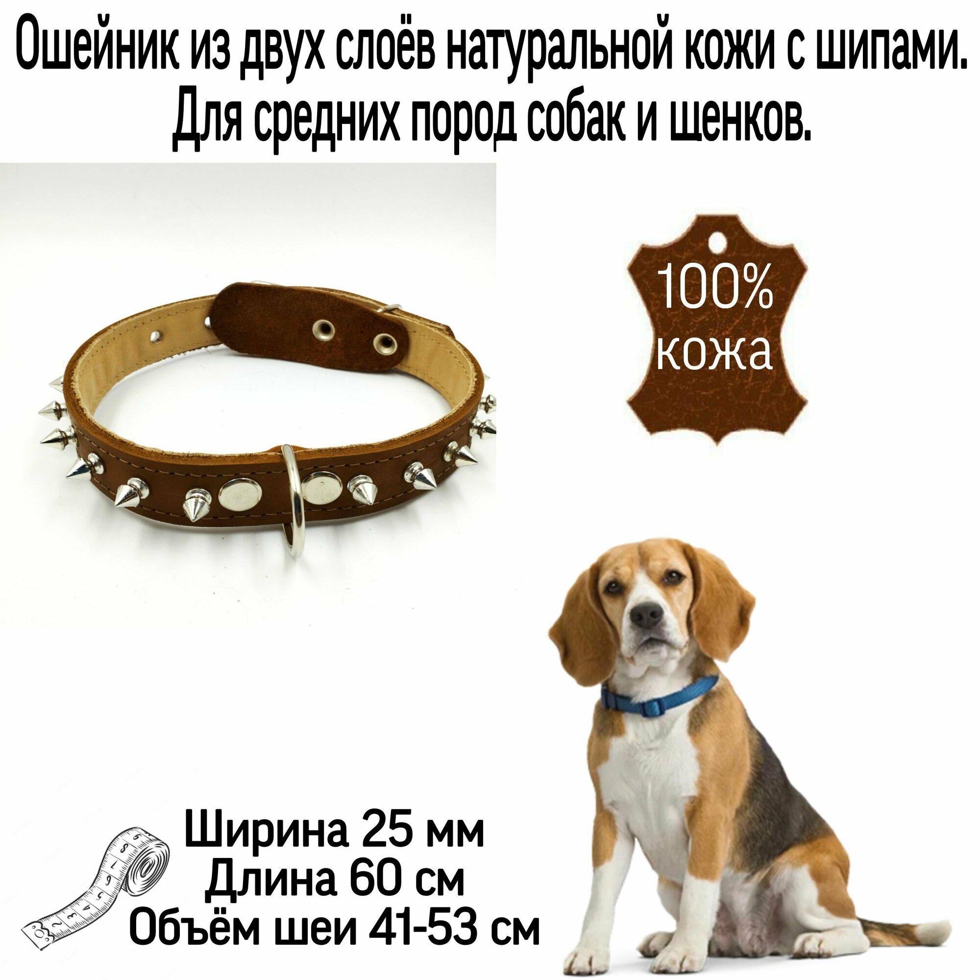 Ошейник из натуральной кожи с шипами для собак средних пород и щенков 25 мм*60 см, объём шеи 41-53 см. Два слоя натуральной кожи.