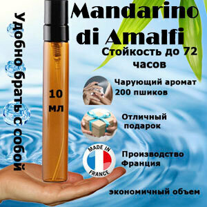 Масляные духи Mandarino di Amalfi, унисекс, 10 мл.