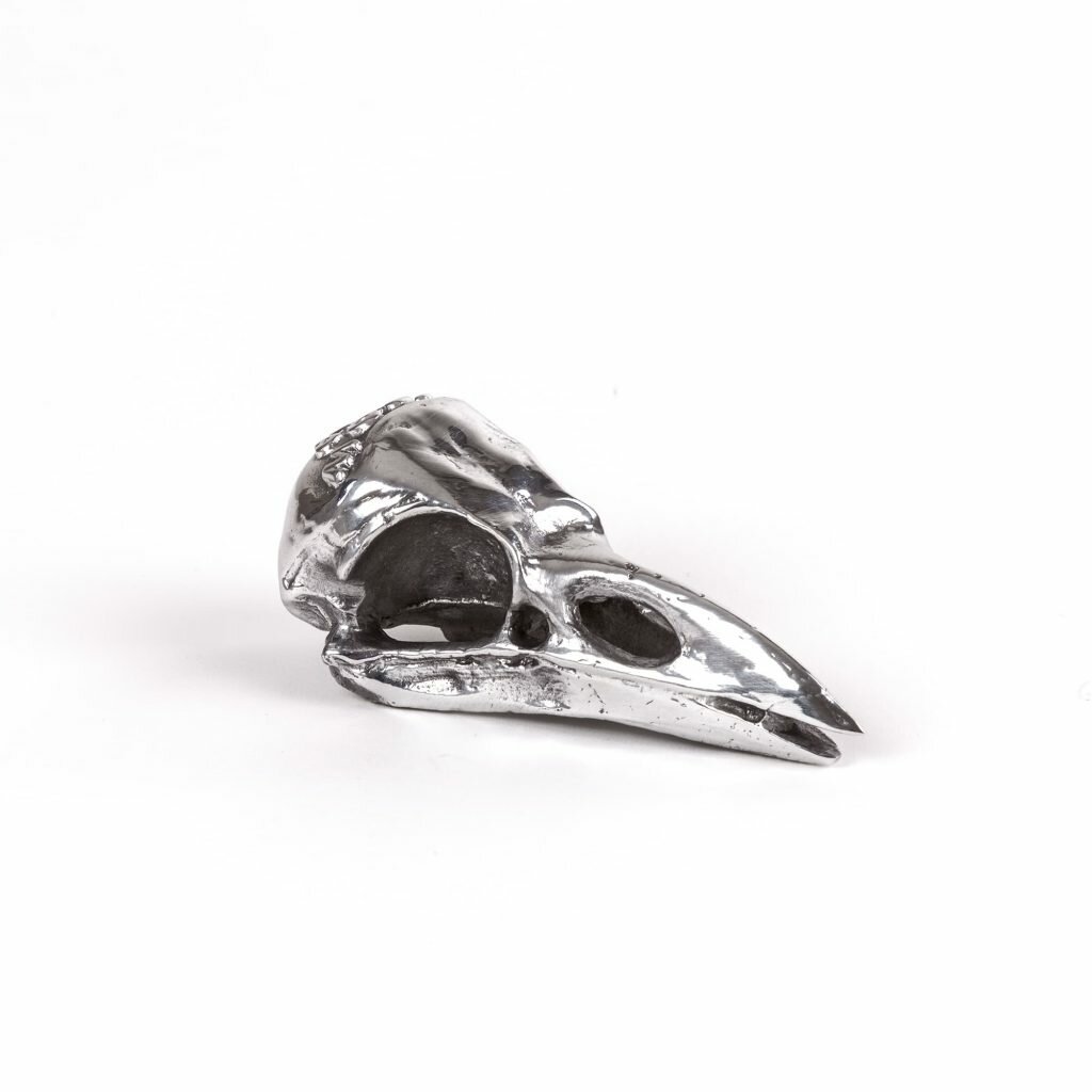 Статуэтка Seletti Wunderkammer Wunderkammer Bird Skull 10895