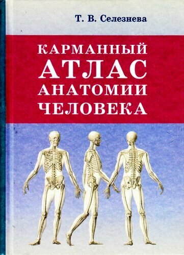 Карманный атлас анатомии человека (Селезнева Т. В.)