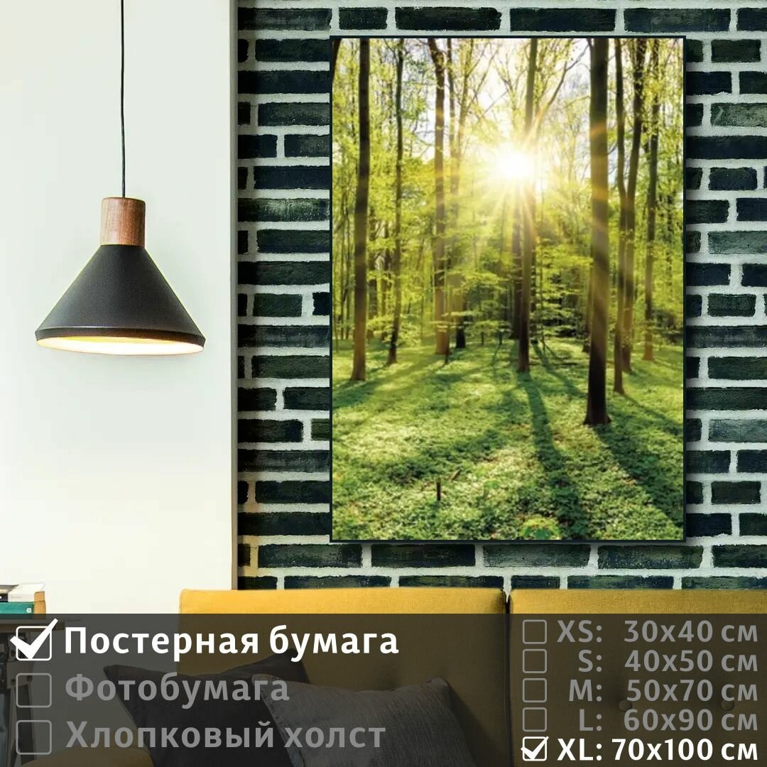Постер на стену Лучи Утреннего Солнца В Весеннем Лесу 70х100 см ПолиЦентр