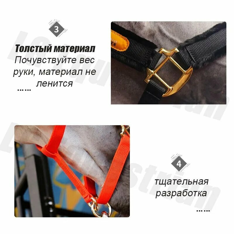 Тренировок и соревнований. Прочный, лёгкий и Набор уздечки и поводья
