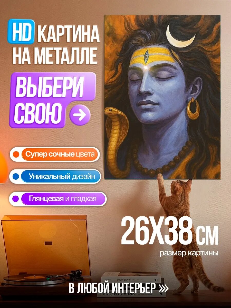 Картина на HD металле Шива медитирует с коброй