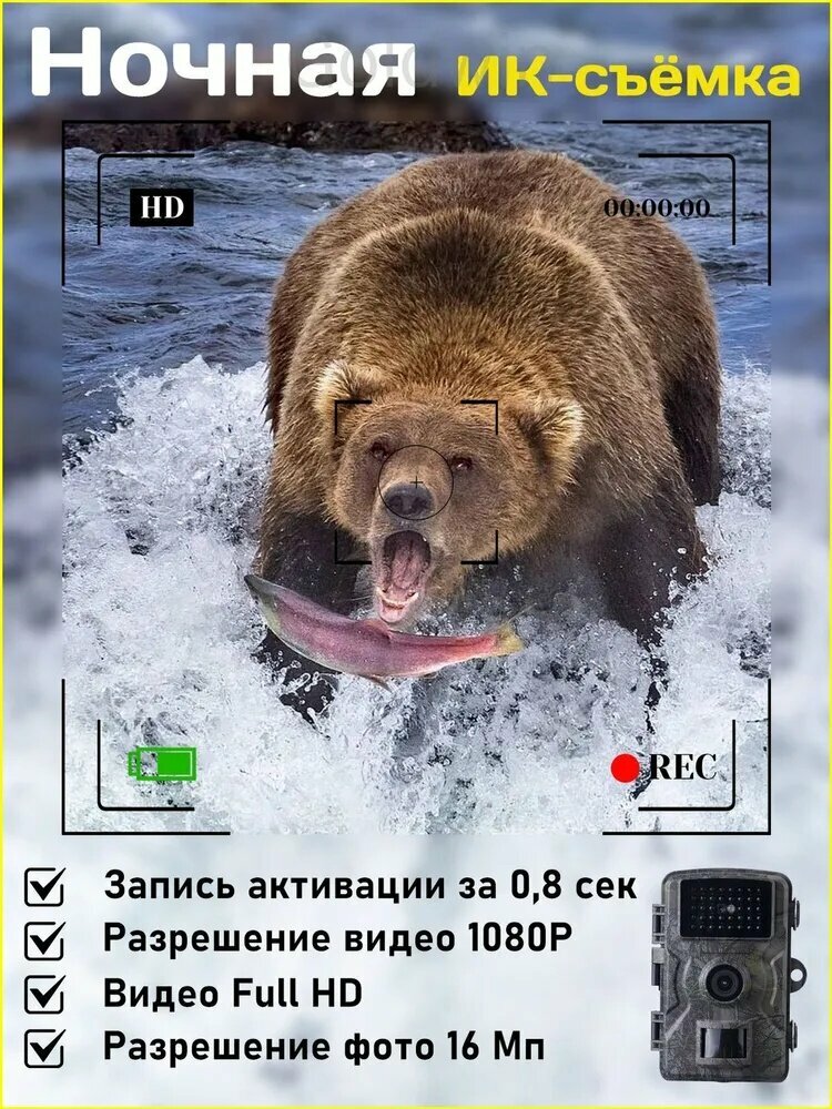 Фотоловушка — фото 1