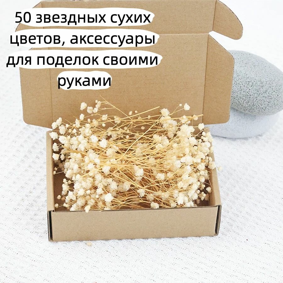 Сухоцветы, 50 шт