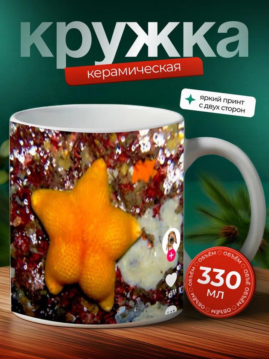 Кружка Морская звезда иглокожее,