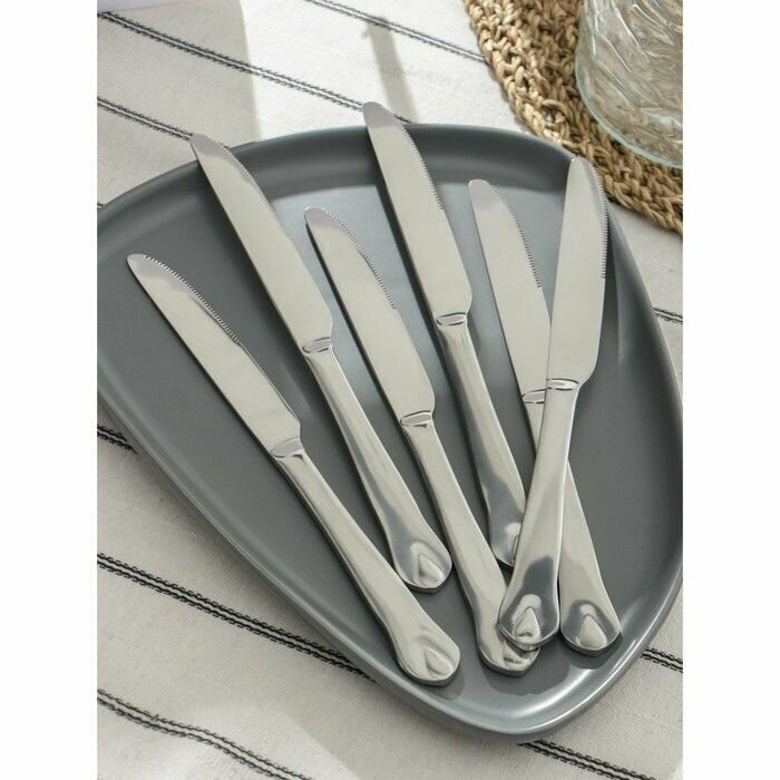 Ножи столовые из нержавеющей стали Доляна Капля , длина 23 см, 6 шт, цвет серебряный