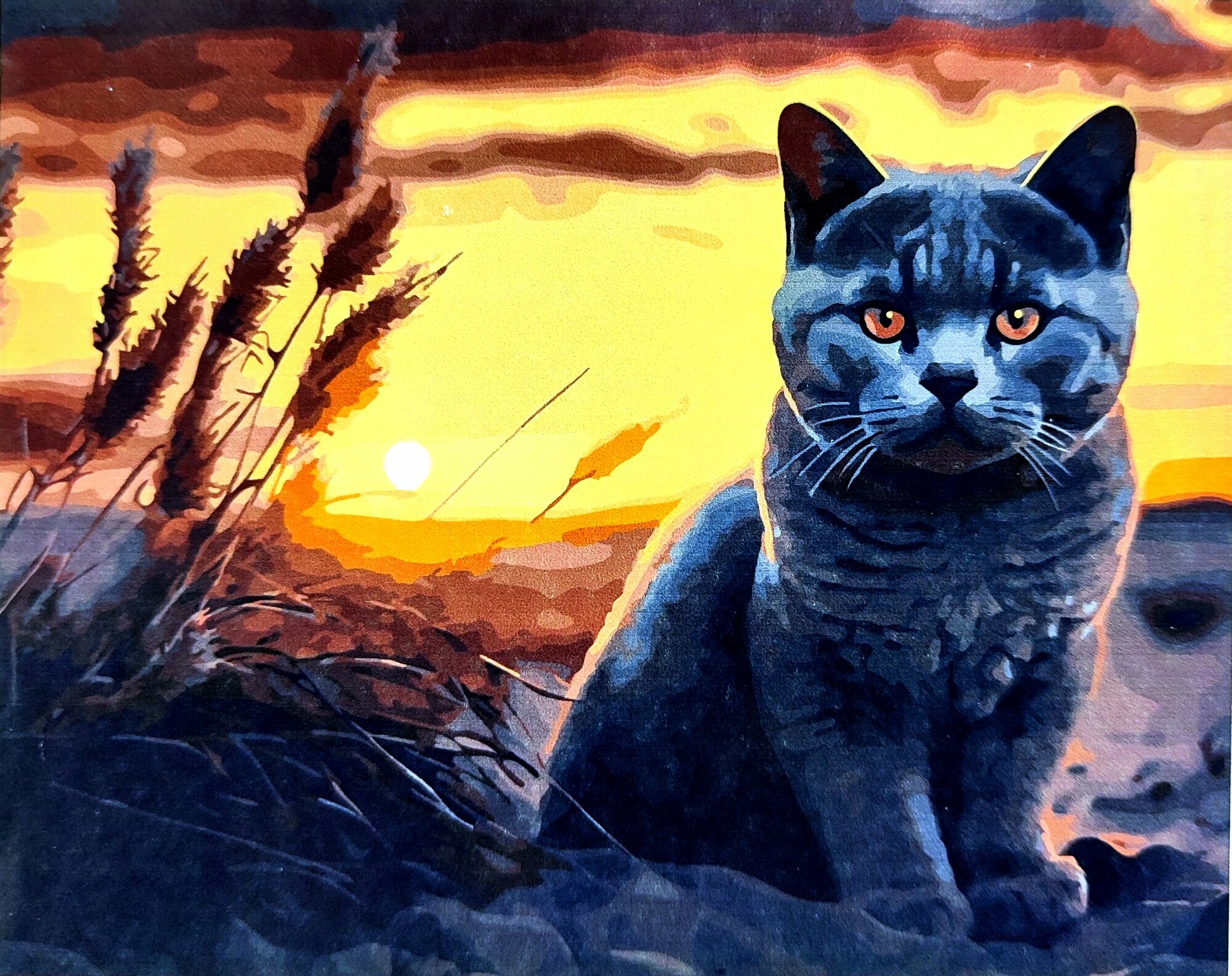 Картина по номерам Paintboy "Британская кошечка", холст на подрамнике, 40 см x 50 см