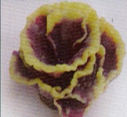 Искусственный коралл Vitality фиолетово-жёлтый (SH015DPU)