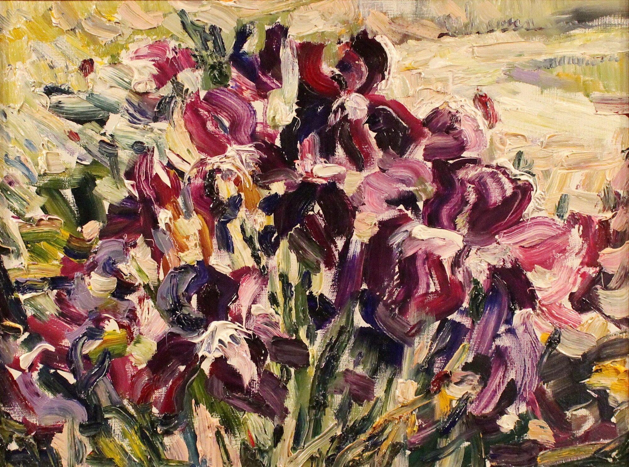 Ольга Симонова, Ирисы в саду