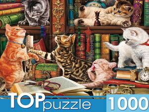 Пазл 1000 деталей Toppuzzle Котята в библиотеке (Ф1000-7729)