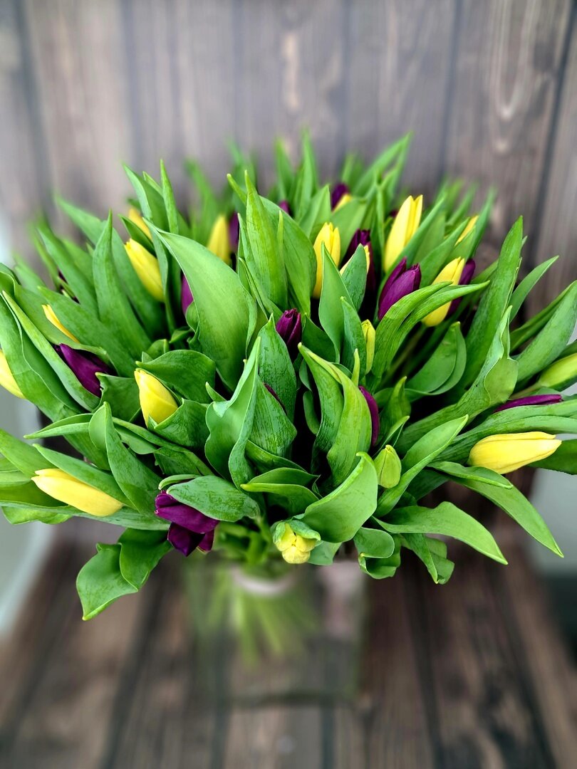 Тюльпаны - Голландия 51 цветок, для девушки. женщины, бабушки