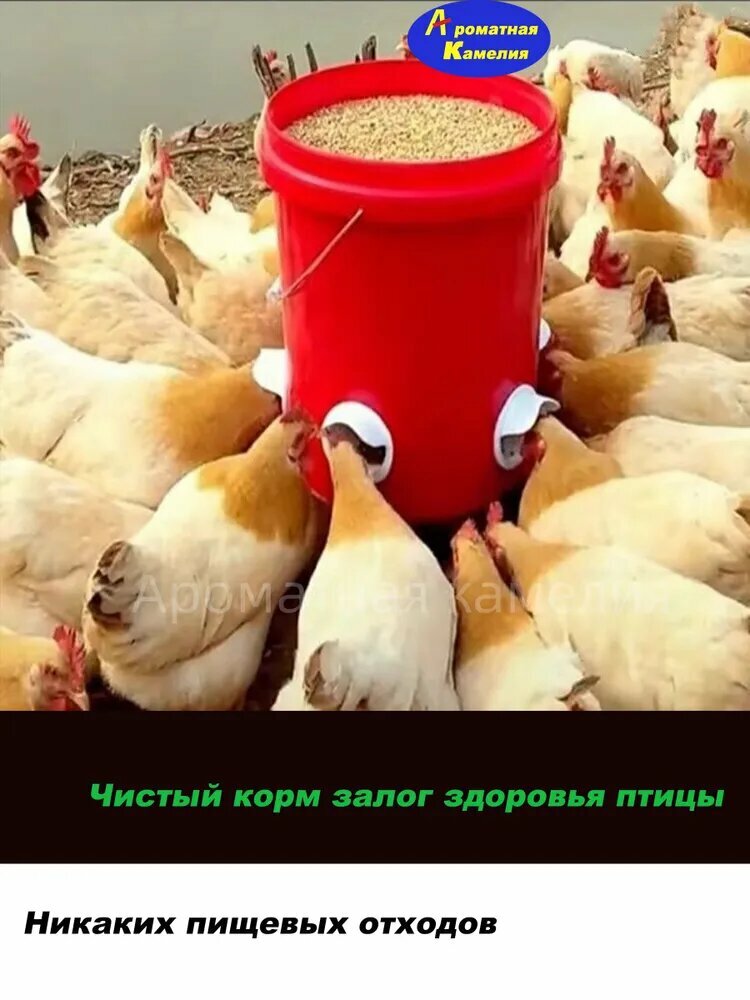 Кормушка для кур цыплят бройлеров перепелов уток гусей индеек птиц автоматическая 8 шт