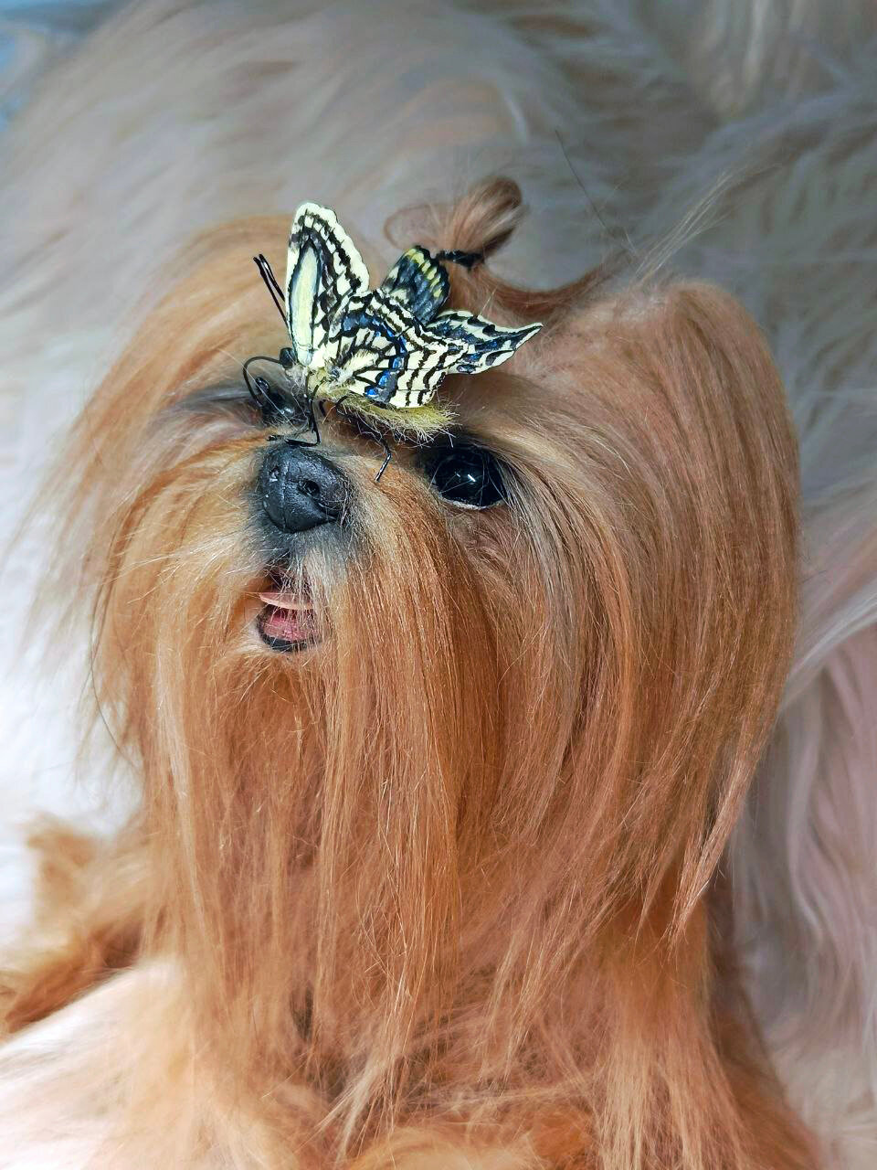 Подвижная собака йоркширский терьер мягкая игрушка