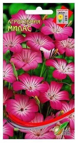 Агростемия Милас, 25 семян
