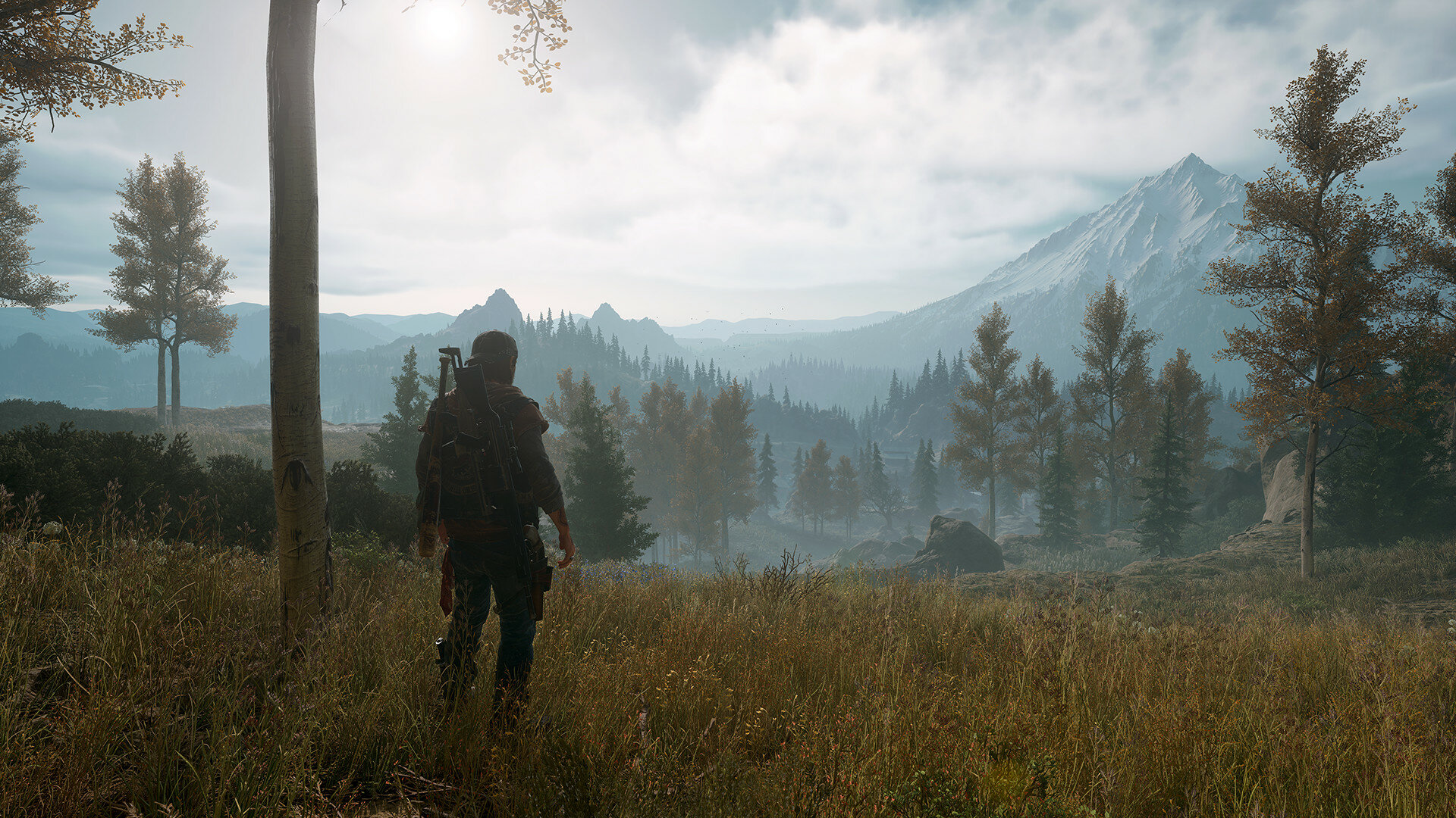 Days Gone PC Steam Ключ • Активация Steam • регион Весь мир • цифровой ключ
