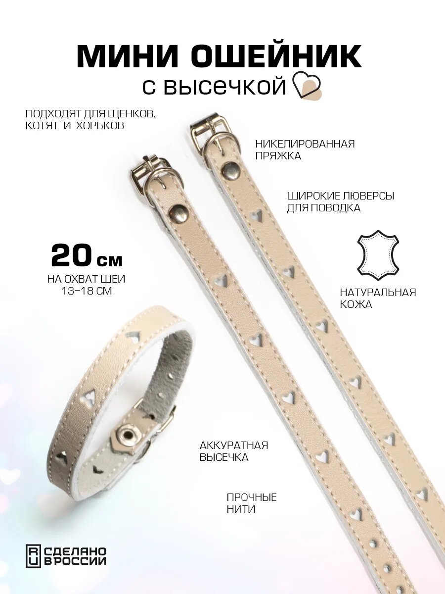 Ошейник из натуральной кожи мини для кошек, собак мелких пород и щенков