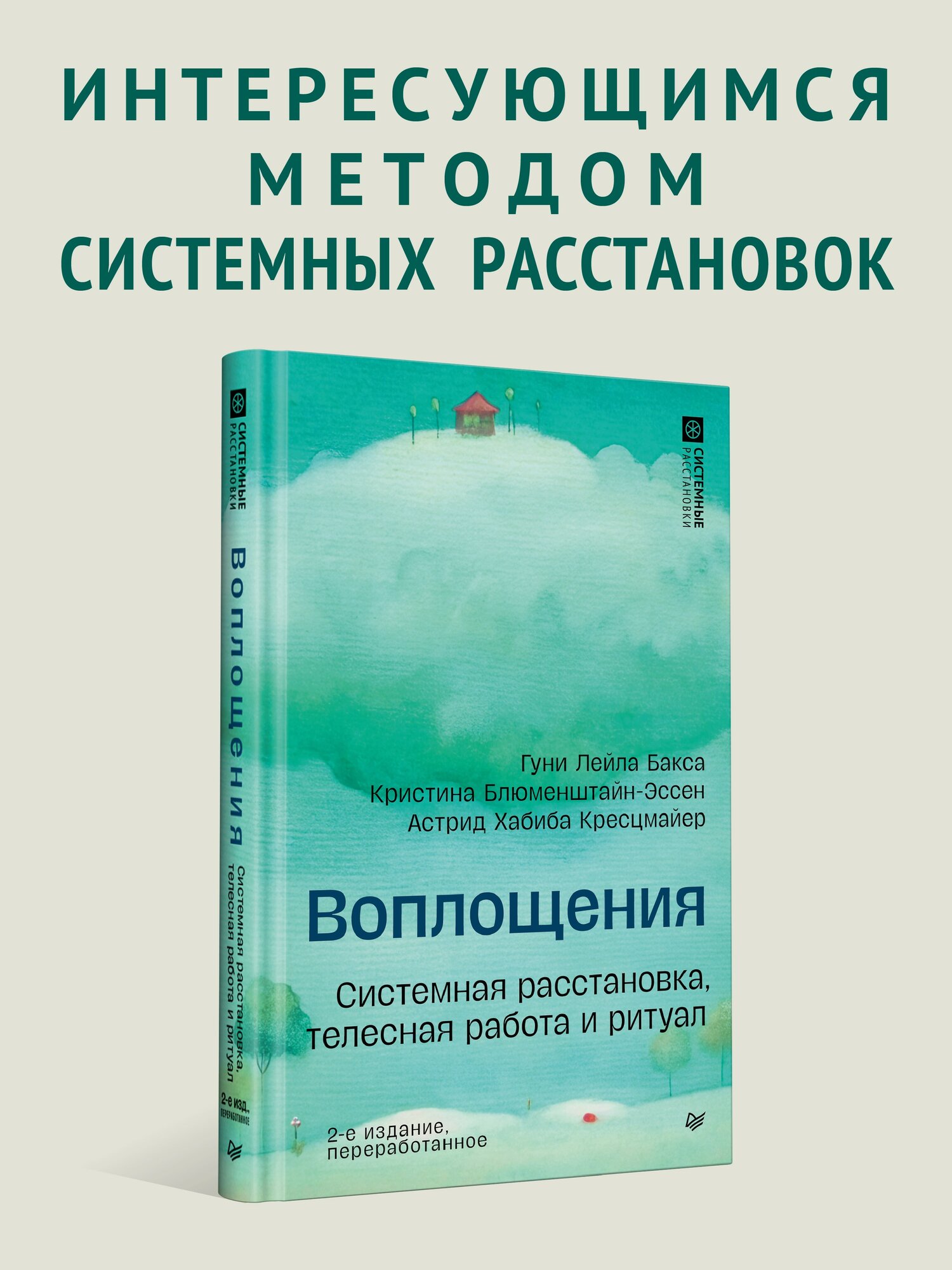 Воплощения. Системная расстановка, телесная работа и ритуал. 2-е издание, переработанное