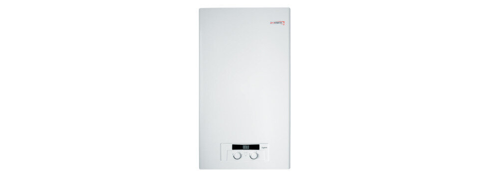 Настенный газовый котел Protherm Рысь НК 28