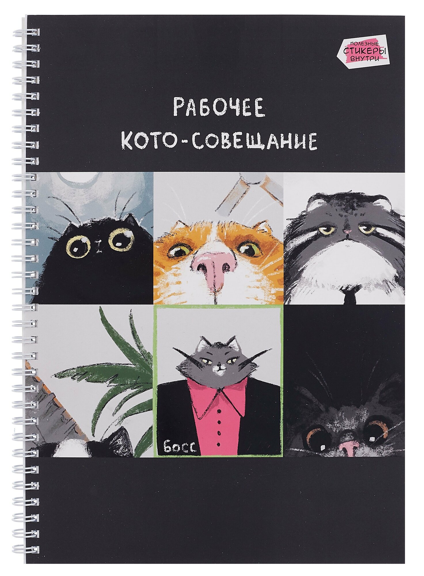 Тетрадь общая «Кото - совещание», 80 листов в клетку, А4 - Listoff
