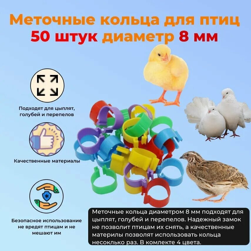 Кольцо для птицы